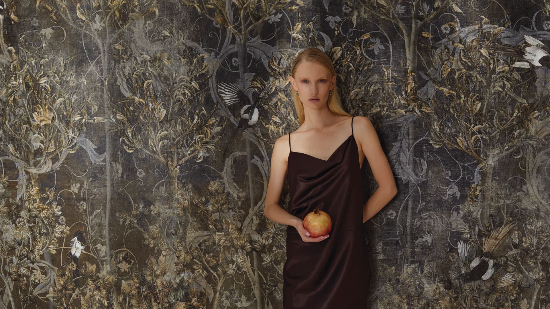 Wonderwall Studio – Beautifull Wallpapers