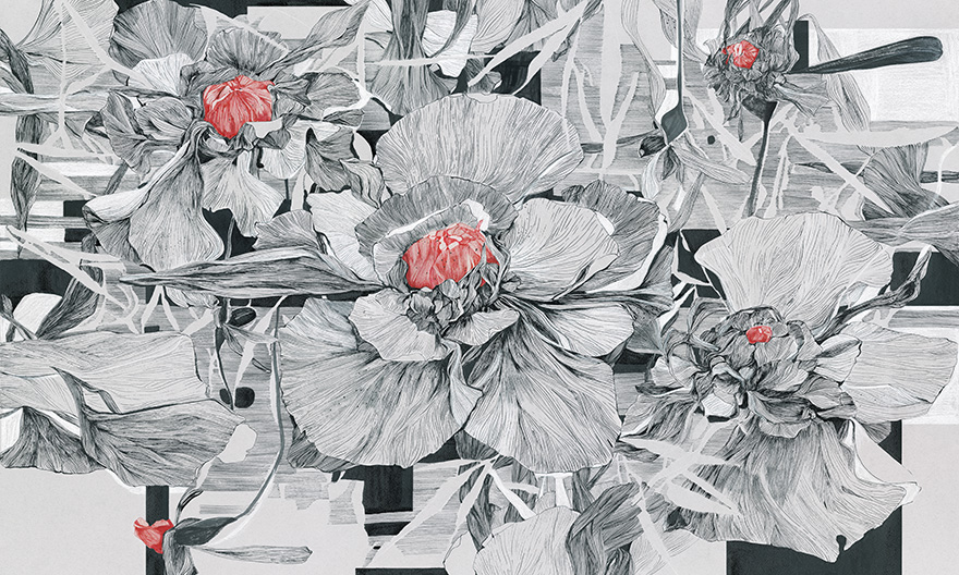 Cornelia – Wonderwall Studio