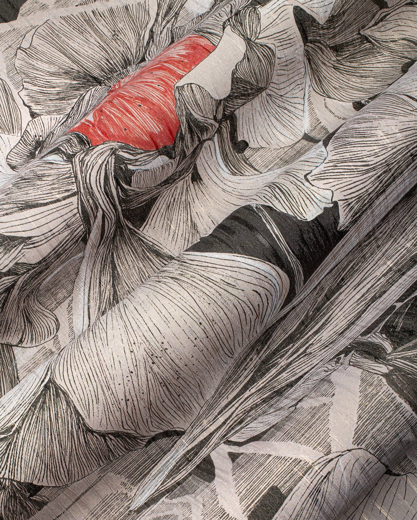 Cornelia – Wonderwall Studio