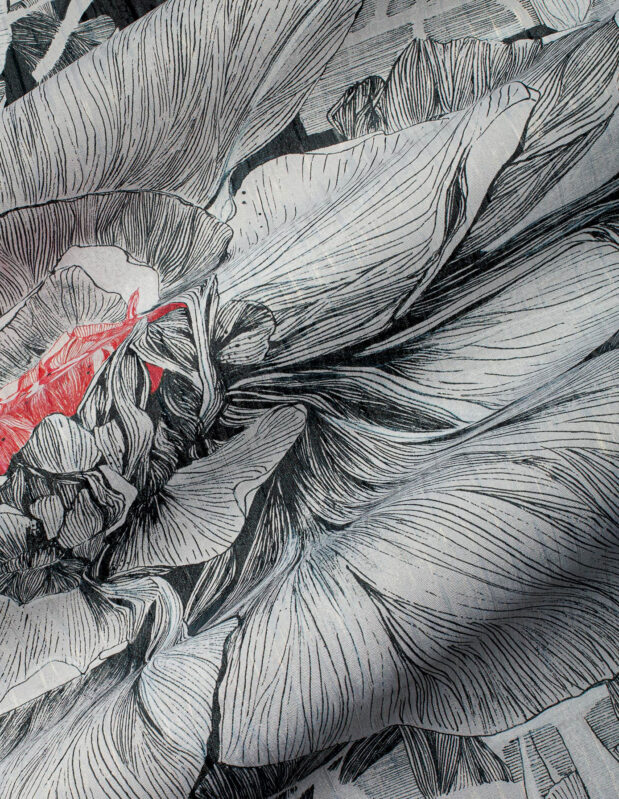 Cornelia – Wonderwall Studio